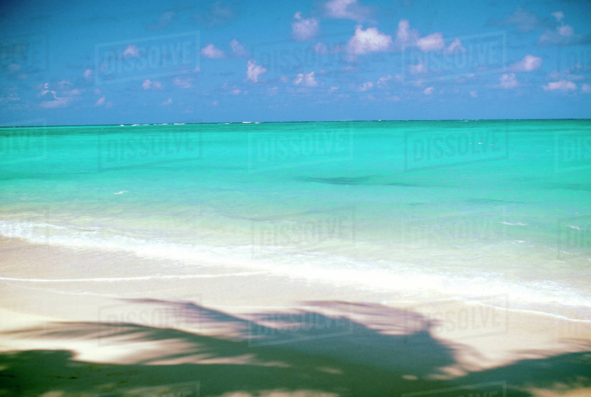 USA, Hawaii. Beach scene - Stock Photo - Dissolve