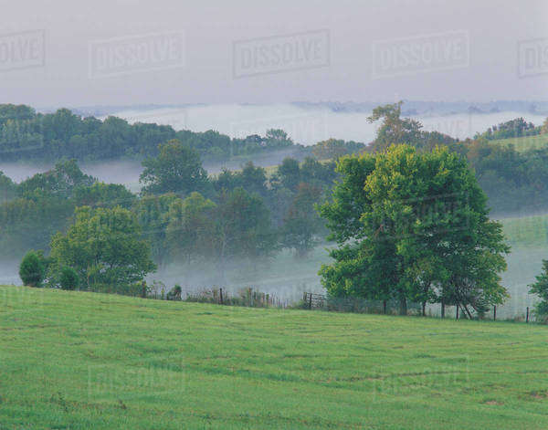 USA, Kentucky. Rolling hills of the Bluegrass region at sunrise ...