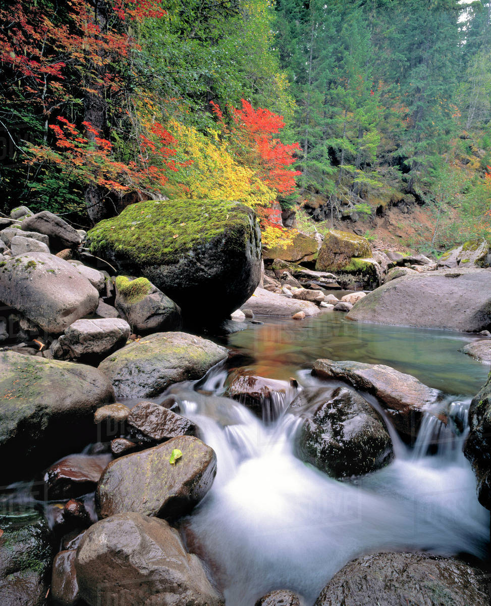 USA, Washington State, Cispus River. The Cispus River flows over ...