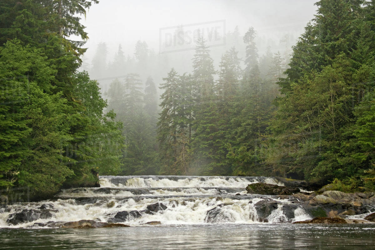Canada, British Columbia, Princess Royal Island. Canoona River ...