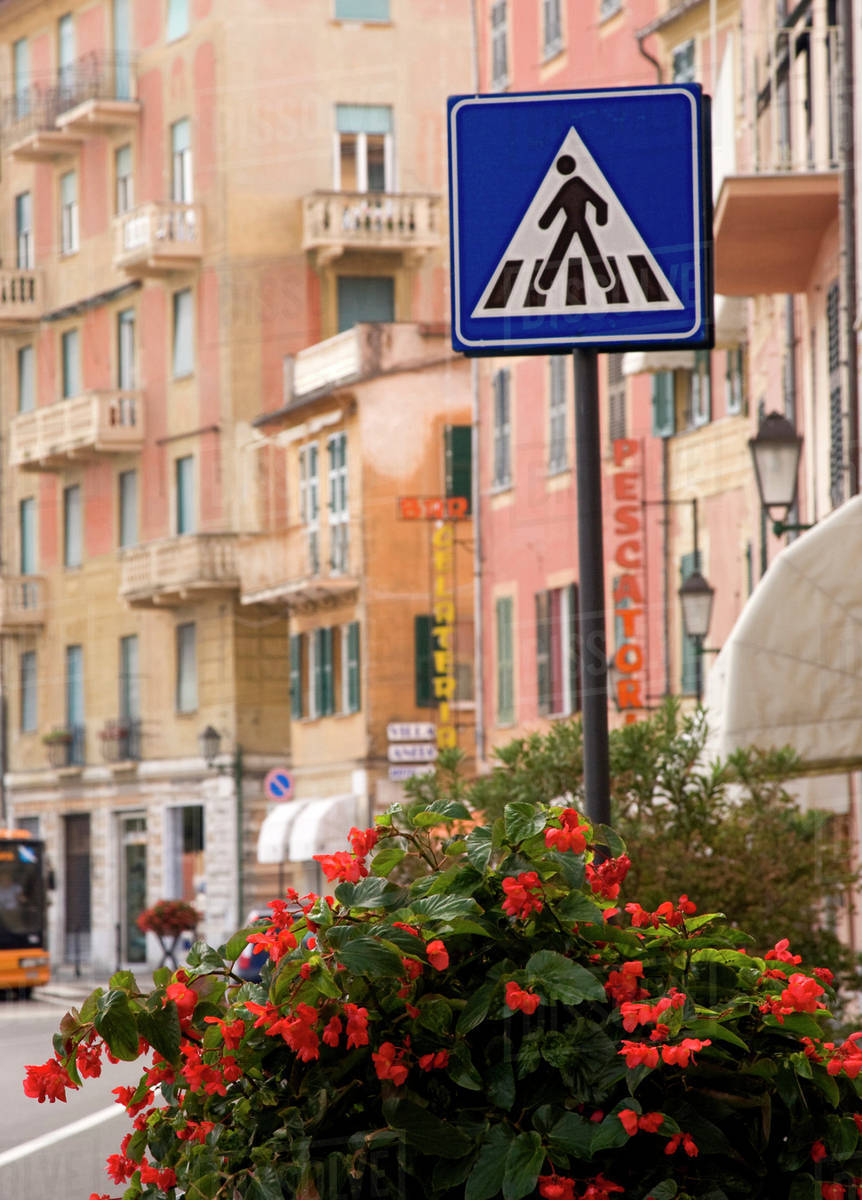 Italy, Santa Margherita Ligure. Crosswalk sign and flowers along a city ...