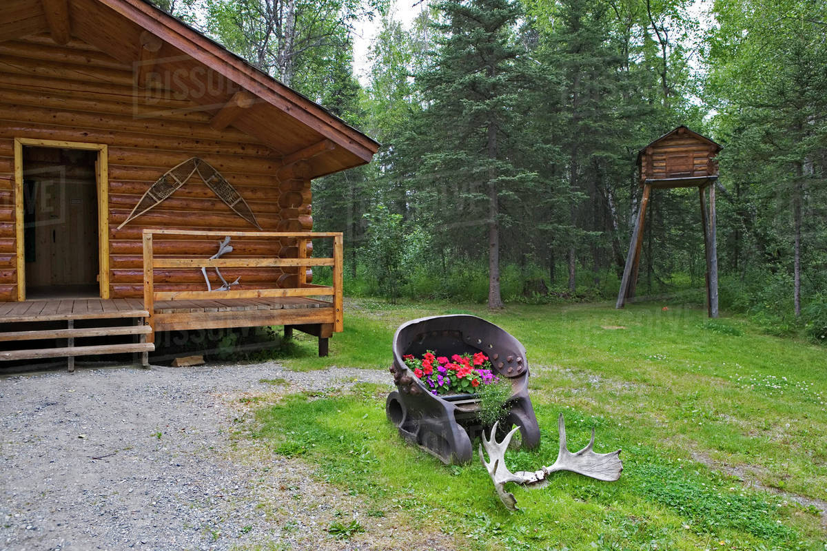 USA, Alaska, Wasilla. Rustic log cabin with tree house in yard. - Stock ...