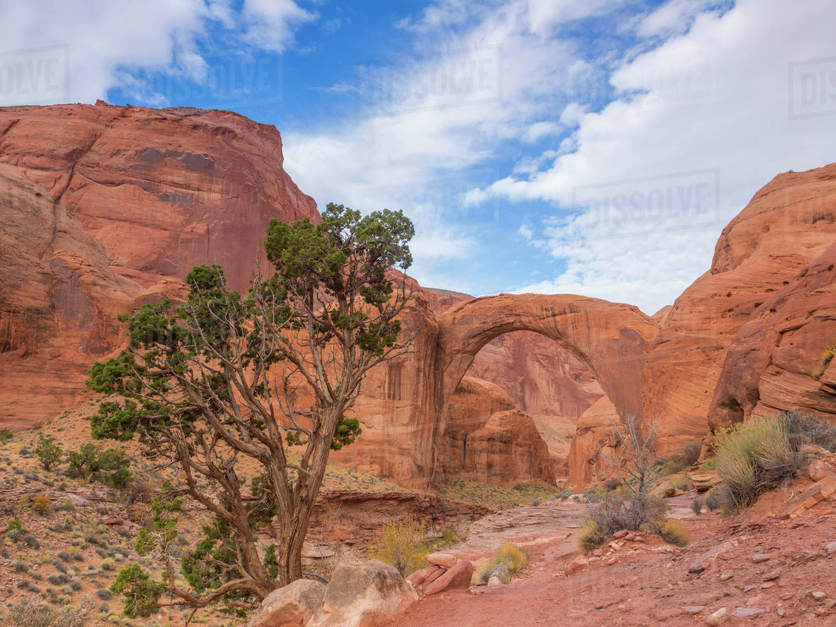 Arizona. Rainbow Bridge arch in Glen Canyon National Recreation Area ...