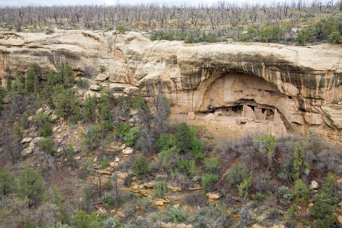 CO, Colorado, Mesa Verde National Park, home of Ancestral Pueblo people ...