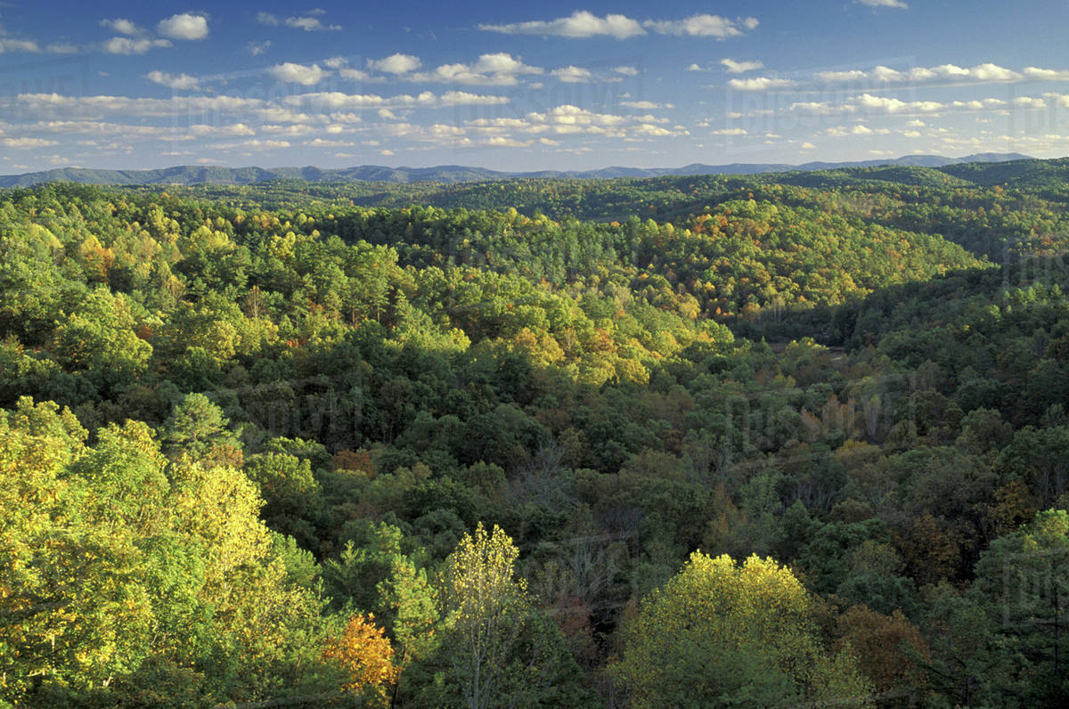 USA, Kentucky, Cumberland Falls State Park. Autumn view, Daniel Boone ...