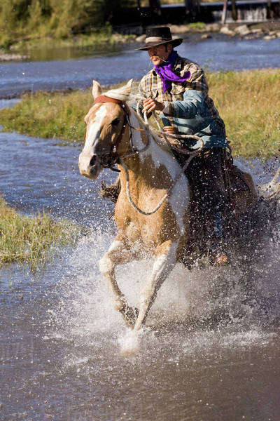 USA, Oregon, Seneca, Ponderosa Ranch. A cowboy on horseback riding ...