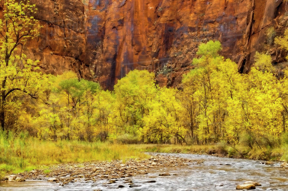 USA, Utah, Zion National Park. Stream in autumn landscape. - Royalty ...