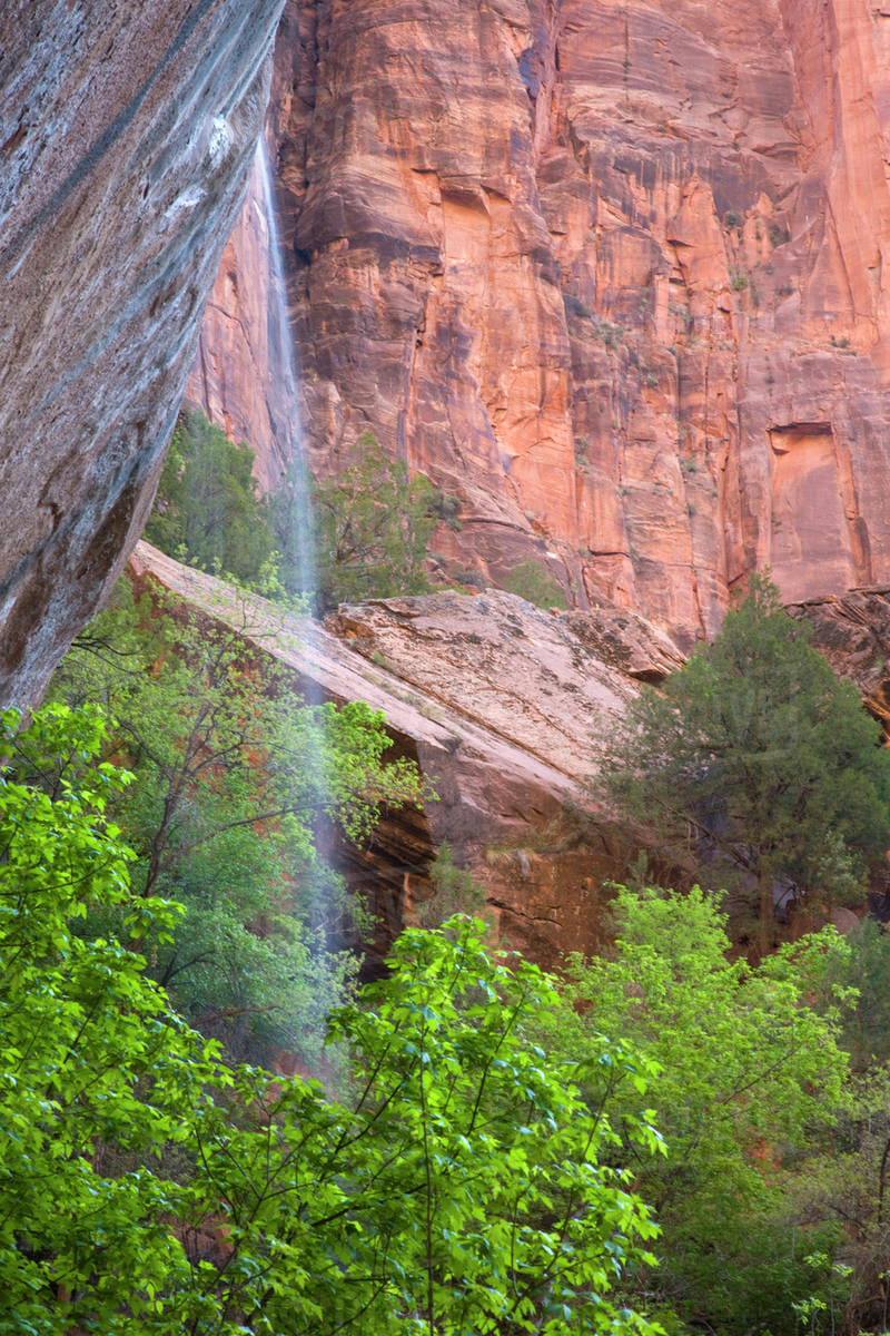 Utah, Zion National Park, Waterfall at Lower Emerald Pool - Royalty-free Stock Photo | Dissolve