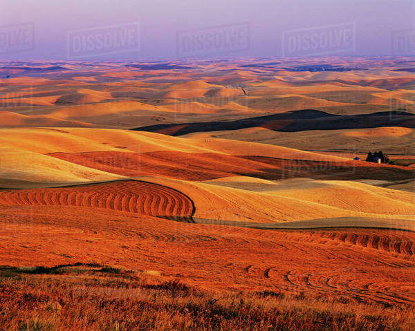 USA, Washington. View of colorful Palouse farm country at twilight ...