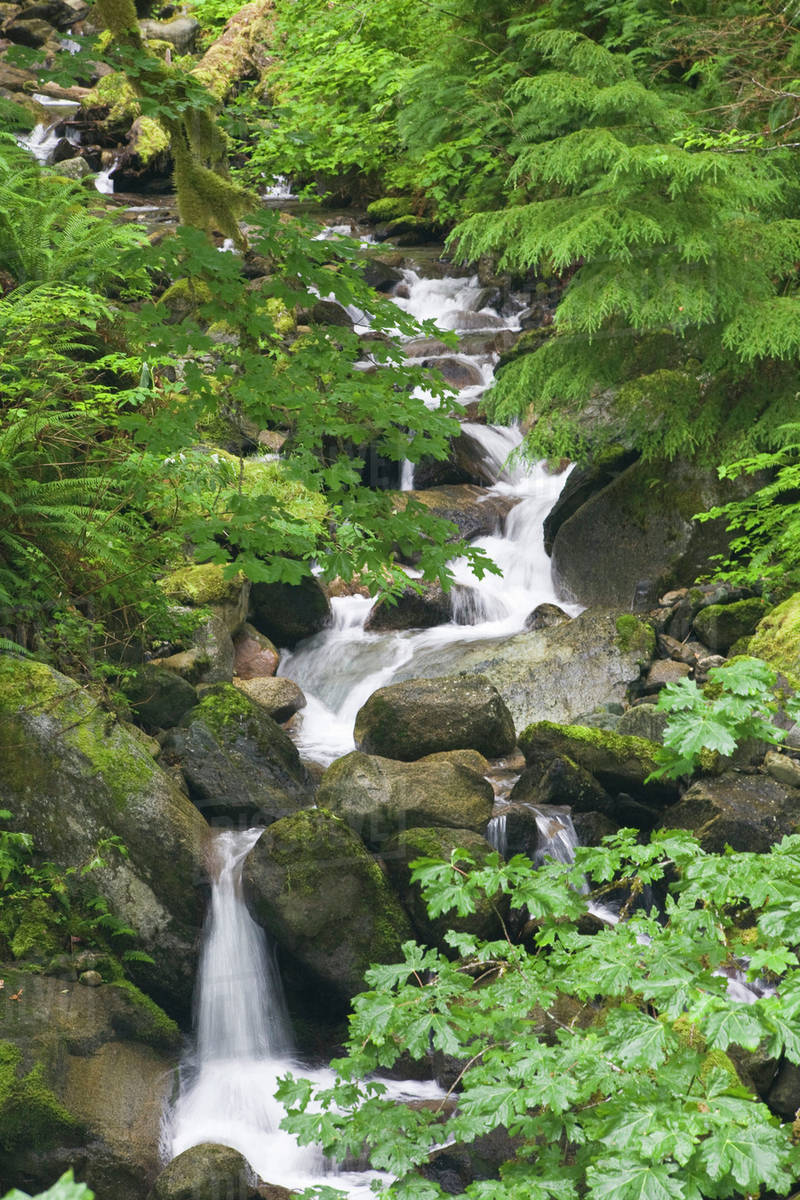 USA, Washington, North Cascades National Park. Water rushes down ...
