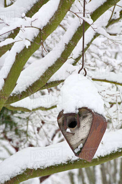 USA, Washington, Seabeck. Heart-shaped bird house covered in snow ...