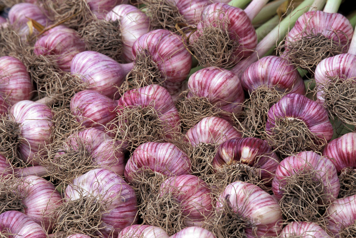 USA, Washington State, Seattle. Garlic display at Pike Place Market ...