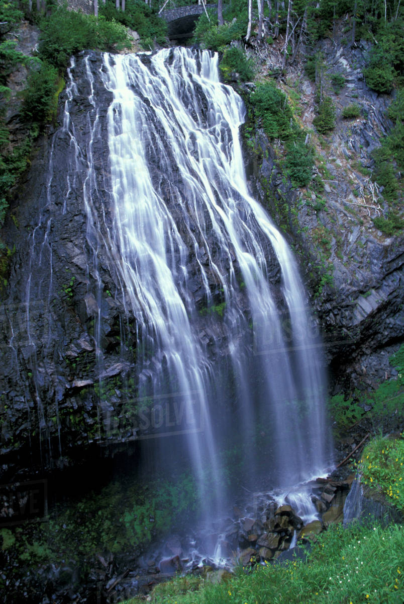 North America, USA, Washington, Mt. Rainier National Park. Narada Falls ...