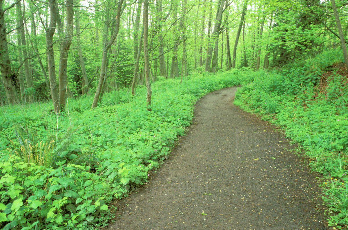 North America, USA, Washington State, Seattle. Loop trail at Discovery ...