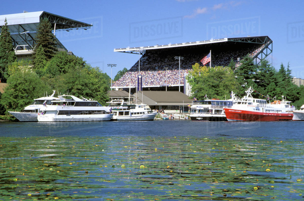 North America, USA, Washington State, Seattle, Lake Washington. Husky ...