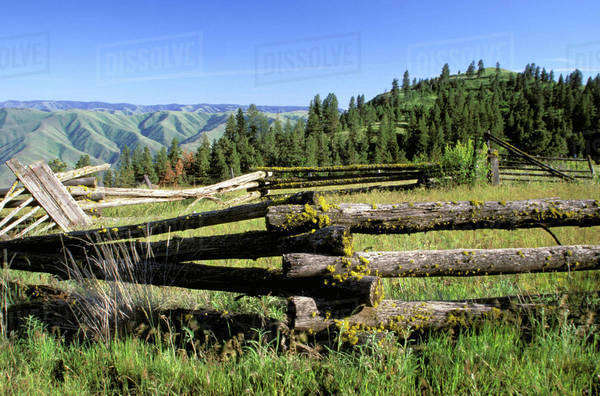 North America, USA, Washington State, Fields Spring State Park. The ...