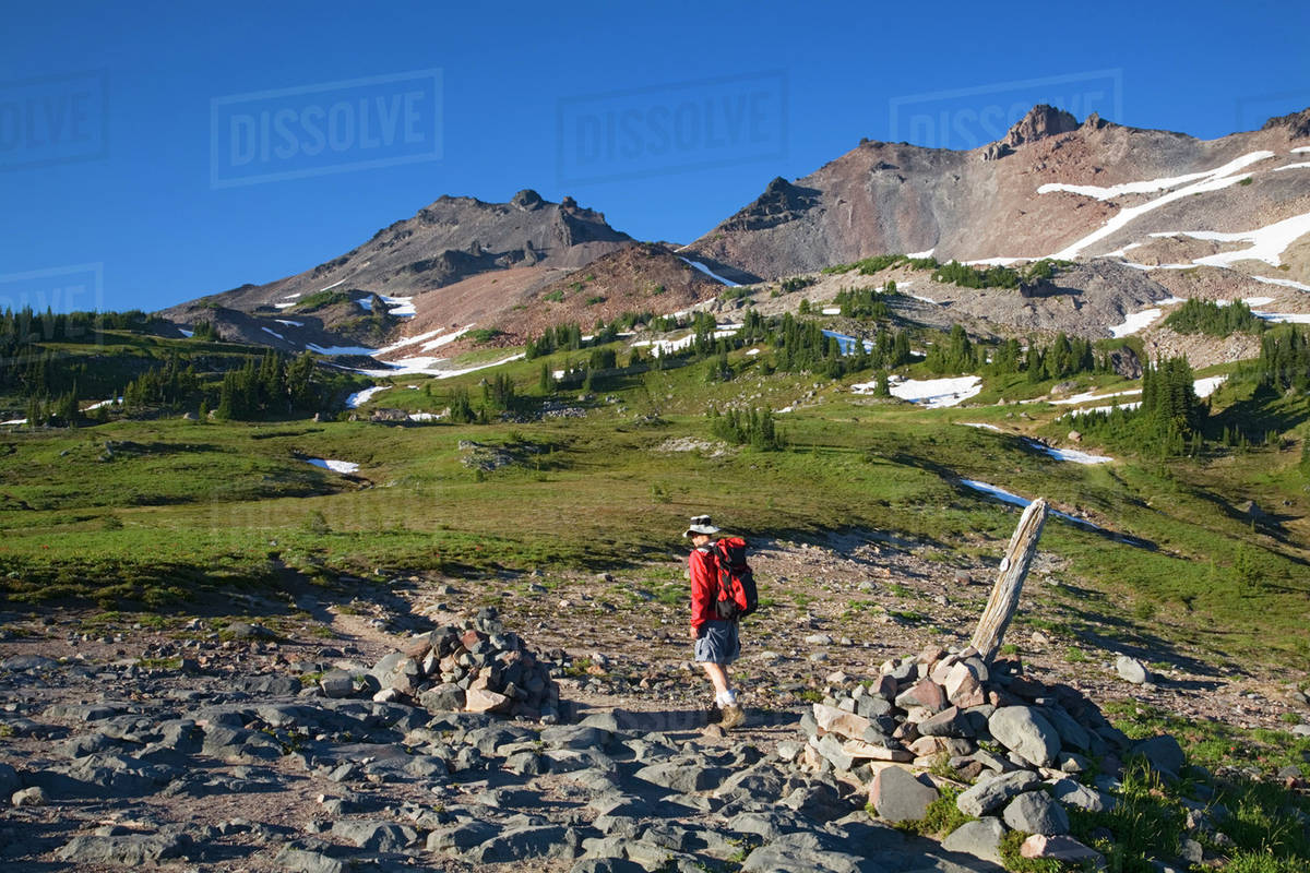 WA, Goat Rocks Wilderness, Goat Rocks and Snowgrass Flat with Pacific ...