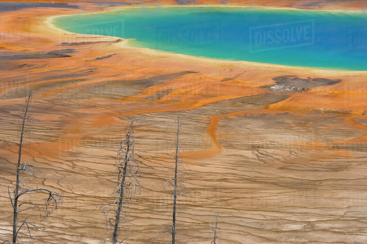 USA, Wyoming, Yellowstone National Park. Colors and patterns of the ...