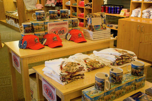 WY, Yellowstone National Park, Mammoth Hot Springs, Mammoth Hot Springs ...