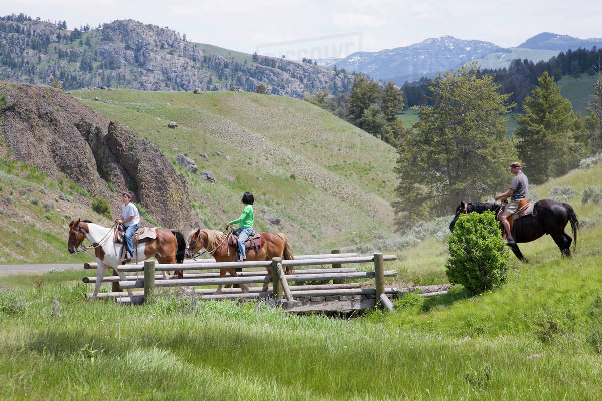 WY, Yellowstone National Park, Horseback riding, near Tower Junction ...