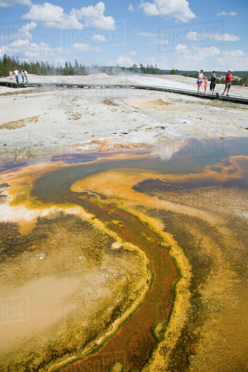 WY, Yellowstone National Park, Upper Geyser Basin, Colorful bacterial ...