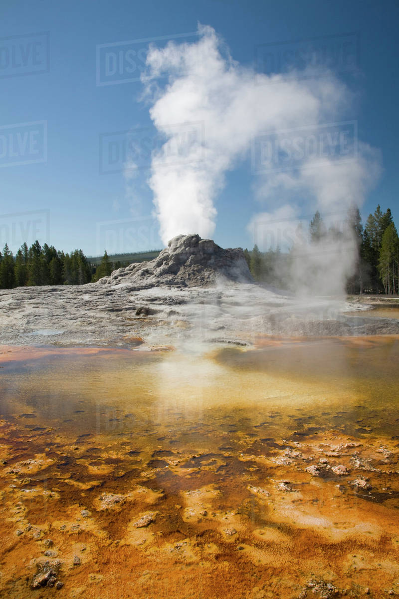 WY, Yellowstone National Park, Upper Geyser Basin, Crested Pool ...