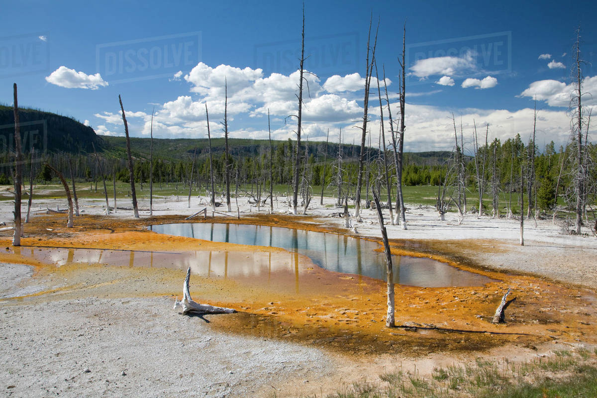 WY, Yellowstone National Park, Black Sand Basin, Opalescent Pool ...