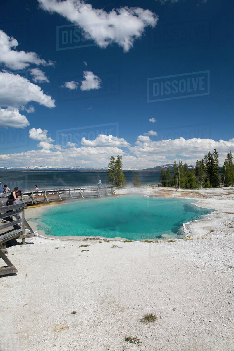 WY, Yellowstone National Park, West Thumb Geyser Basin, on the shore of ...