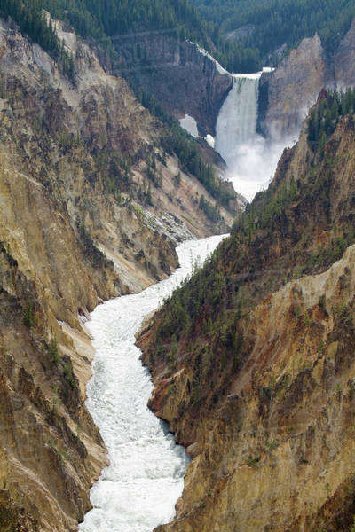 Lower Yellowstone Falls, Yellowstone National Park, Wyoming, USA ...