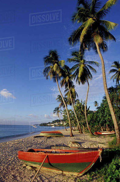 CARIBBEAN, Grenada, St. George, Boats on palm tree-lined beach - Stock ...