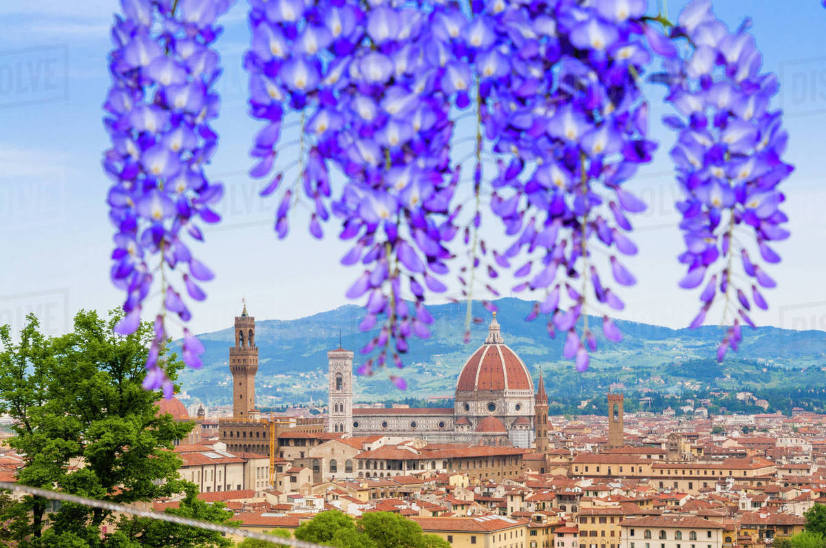 View of city center of Florence, Firenze, UNESCO World Heritage site ...