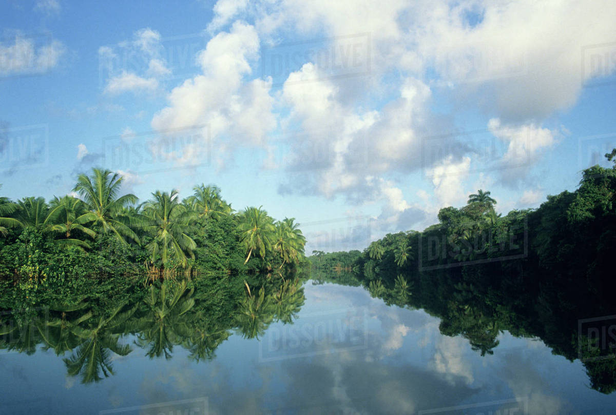 Near mouth of Sibun River, coastal Belize. - Royalty-free Stock Photo ...