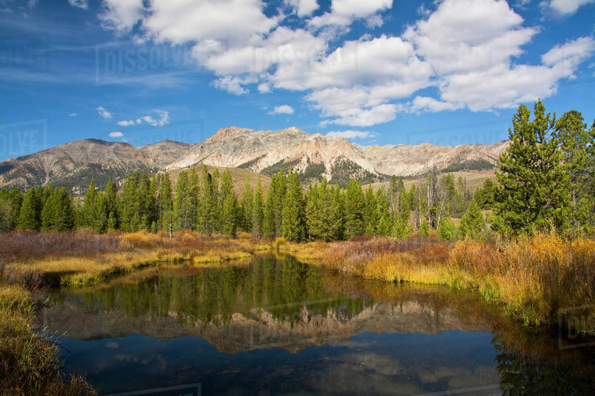 Evergreens and Boulder Mountains, autumn reflection, Big Wood River ...