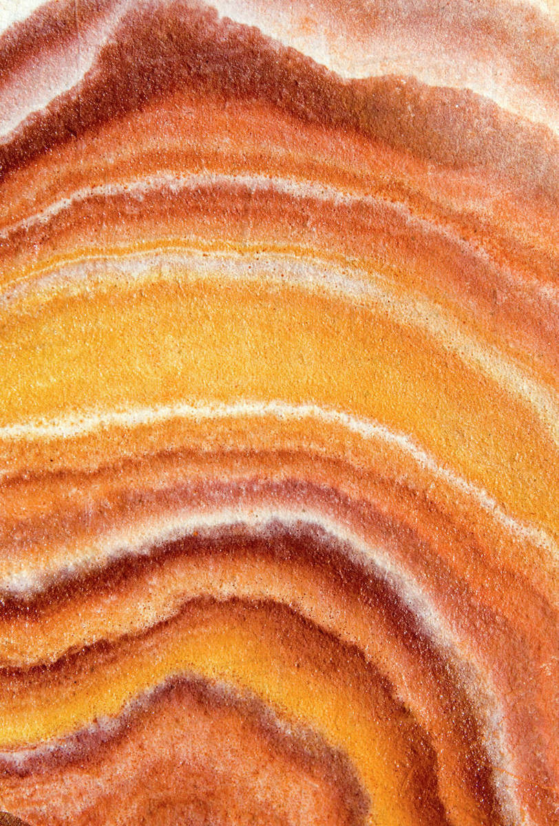 Brilliant color in metamorphic sandstone, Bryce Canyon National Park ...