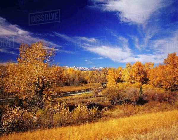 Big Timber Creek in autumn with Crazy Mountains near Big Timber ...