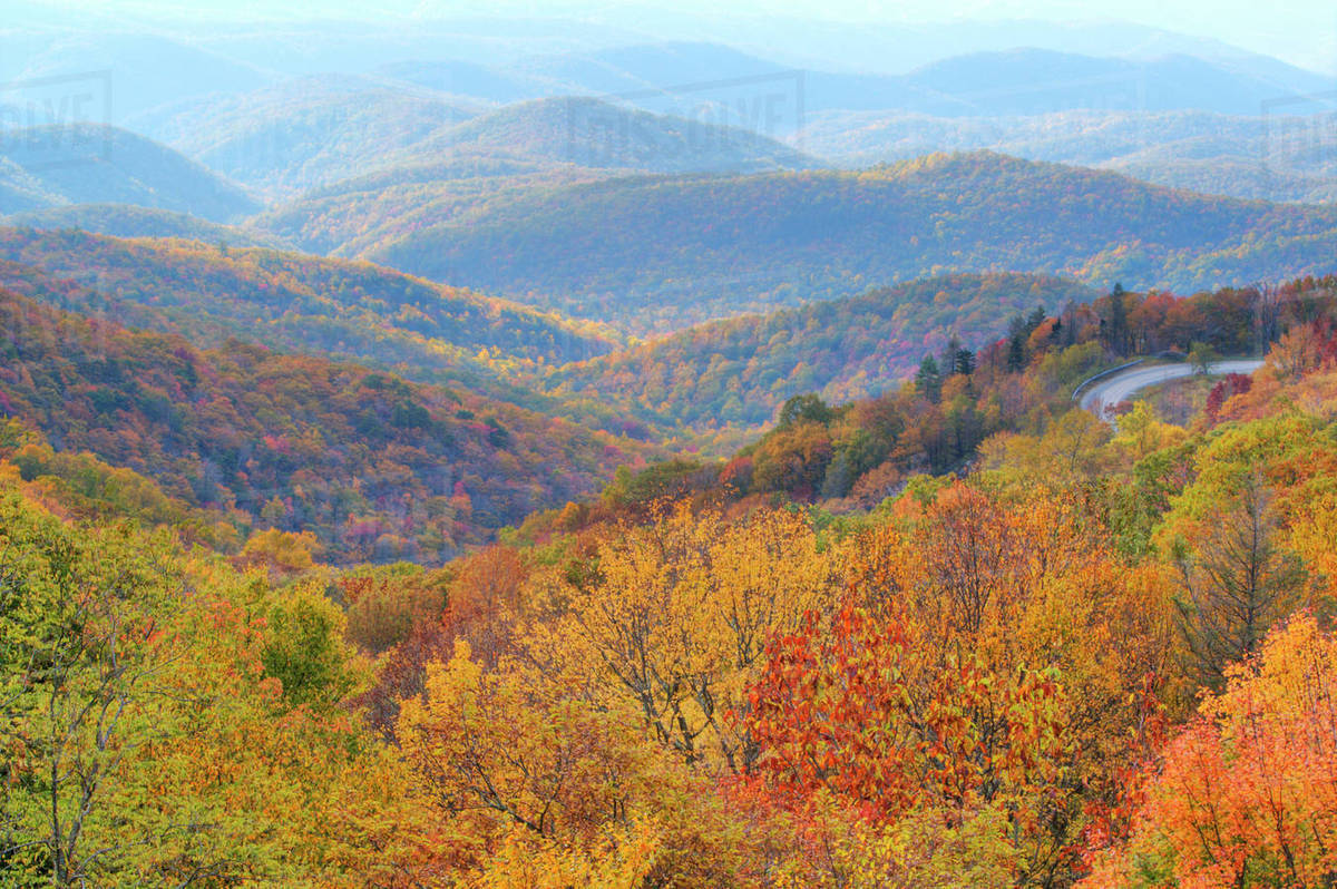 Autumn view of the Blue Ridge Mountains form the Blue Ridge Parkway in ...