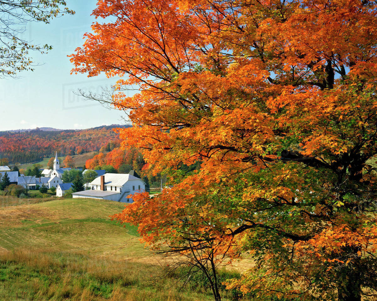 USA, Vermont, East Corinth. Fall colors framing church and town ...