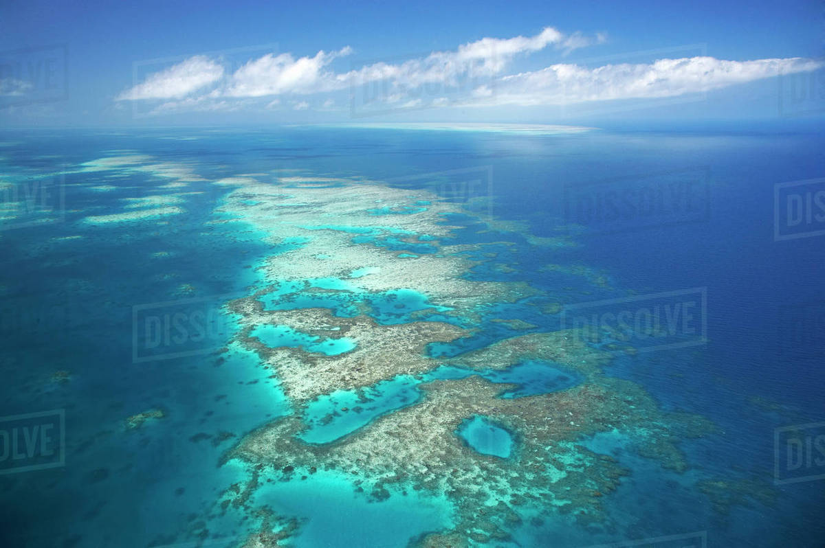 Tongue Reef, Great Barrier Reef Marine Park, North Queensland ...
