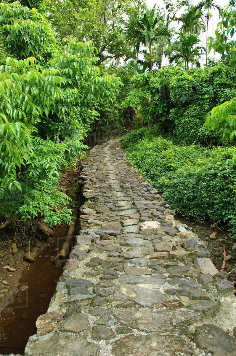 Old stone pathway, Yap, Caroline Islands, Federated States of ...
