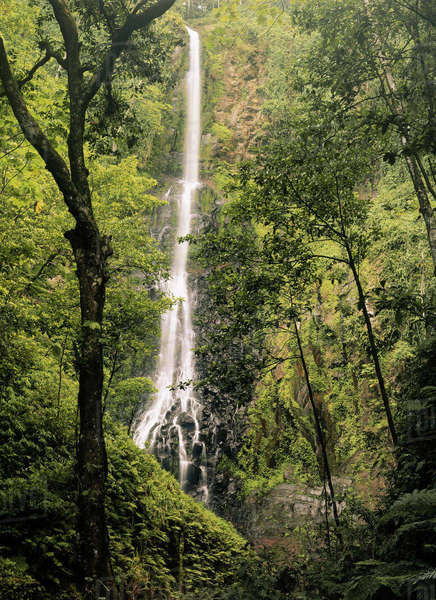 Costa Rica, Cocos Island, Wafer Bay Waterfall, World heritage site ...