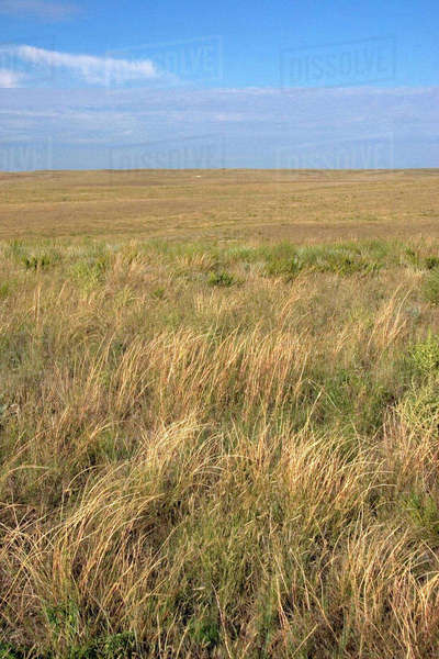 Grassland prairie east of Sidney, Nebraska. - Stock Photo - Dissolve