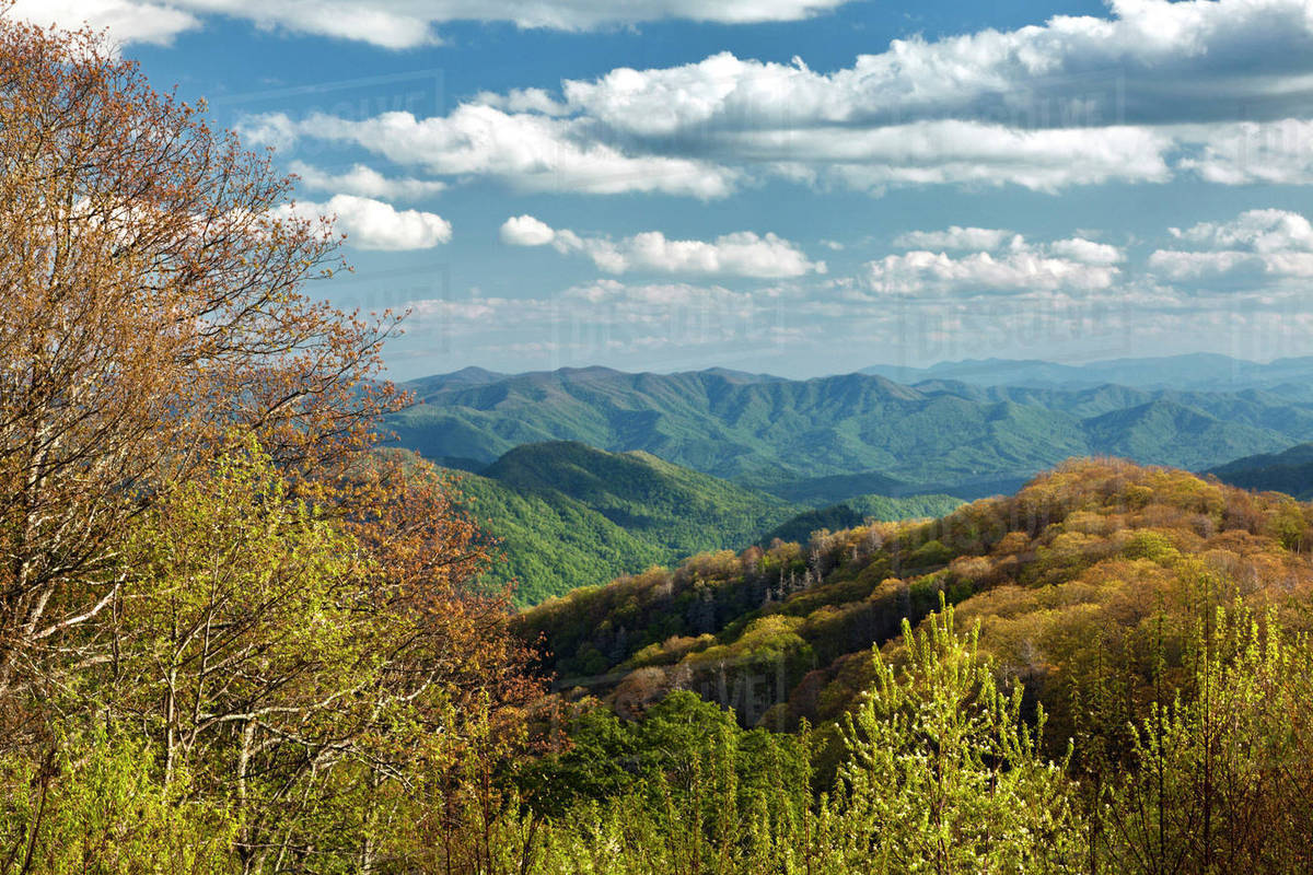 Spring view of Deep Creek Valley, Great Smoky Mountains National Park ...