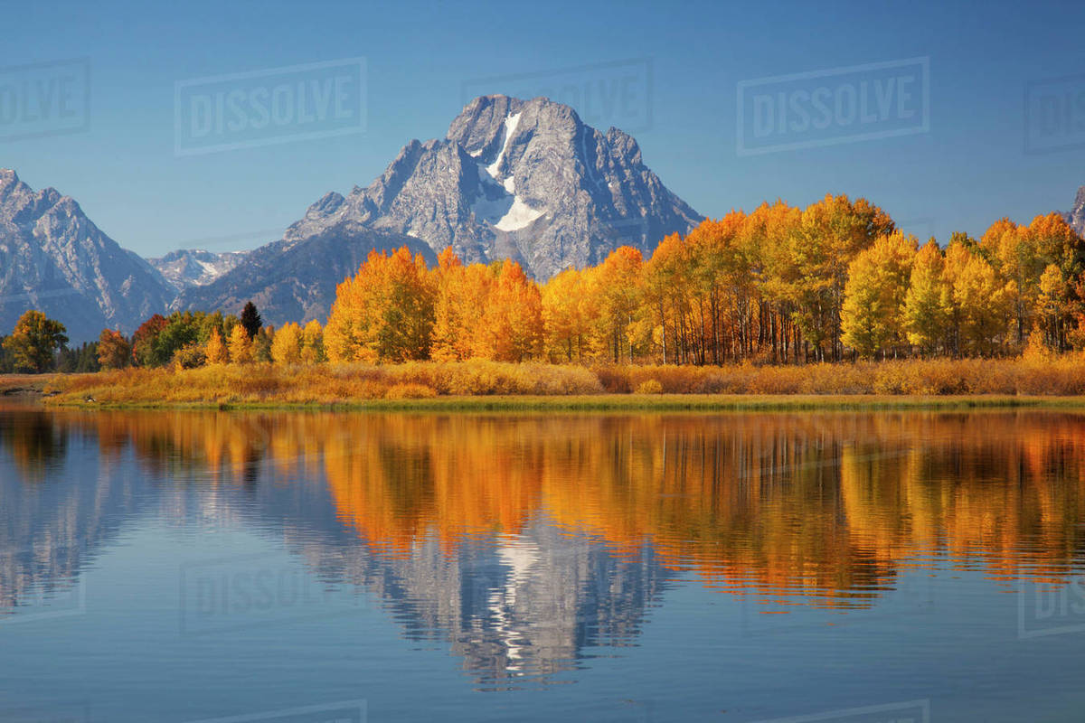 WY, Grand Teton National Park, Mount Moran and aspen trees reflected in ...