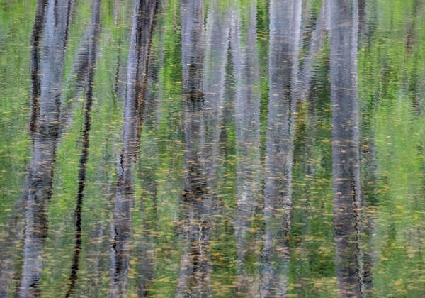 USA, Washington State, Old Cascade Highway off of Highway 2 and pond ...