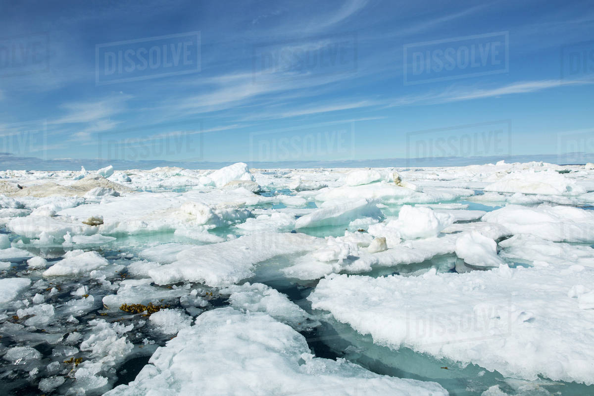Canada, Nunavut Territory, Midday summer sun lights melting sea ice in ...