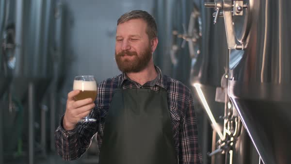 Young male brewer with a beard evaluates freshly brewed beer from a ...