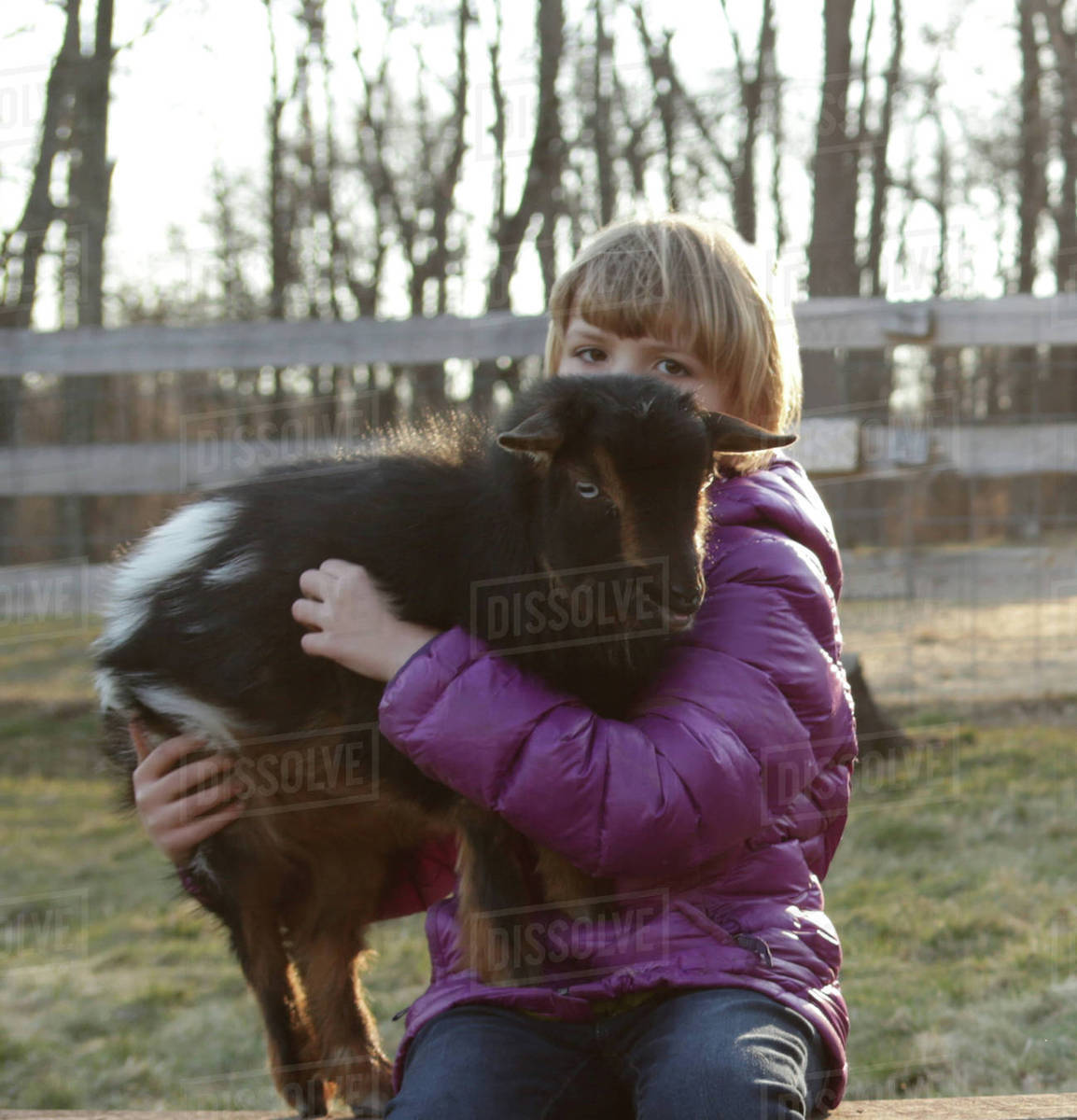 Portrait of young girl hugging goat - Stock Photo - Dissolve