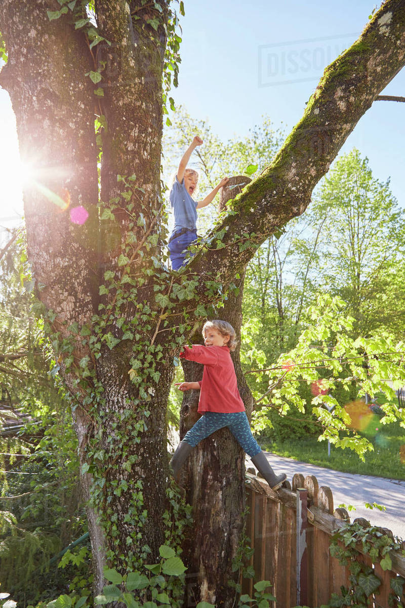 Two young boys climbing tree - Royalty-free Stock Photo | Dissolve
