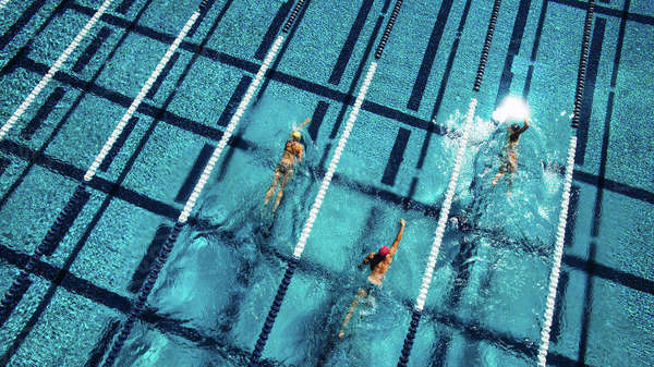 Overhead view of swimmers in pool - Stock Photo - Dissolve