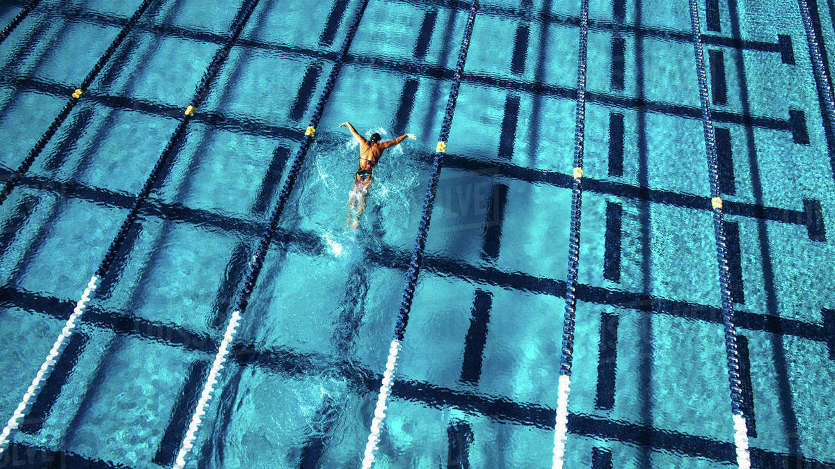 Overhead view of swimmer in pool - Stock Photo - Dissolve